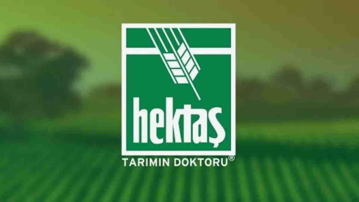Hektaş Hedef Fiyat 2024 - Bu Ne Kadar? Hektaş Ne Kadar? Hektaş Hedef Fiyat 2024 - Bu Ne Kadar? Hektaş Ne Kadar?